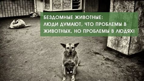 Петиция · Подписчики: Защита животных от живодеров, общества по защите ...
