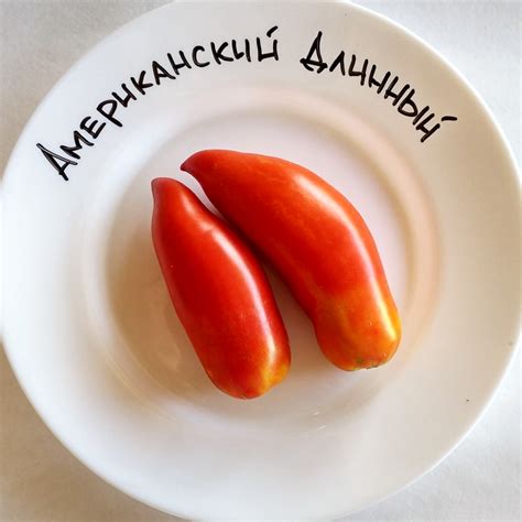 Томат Американский длинный: описание сорта помидоров, характеристики ...