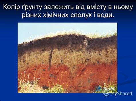 Презентация на тему: "Грунт Грунт Грунт. Ґрунт це верхній шар земної ...