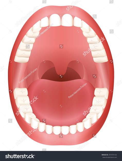 Model Mouth - Daily Sex Book