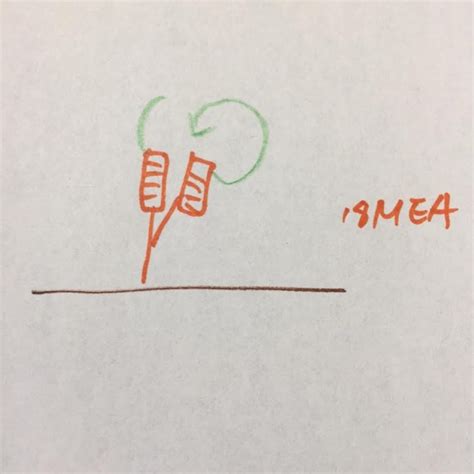 18-MEA