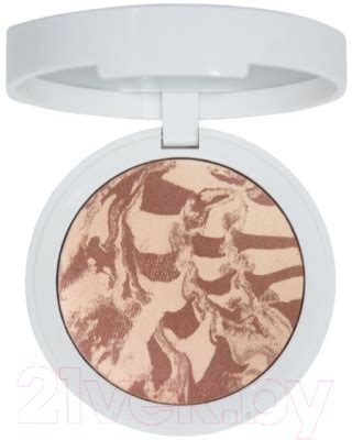 Shik Blush Melange 02 Румяна купить в Минске, Гомеле, Витебске ...