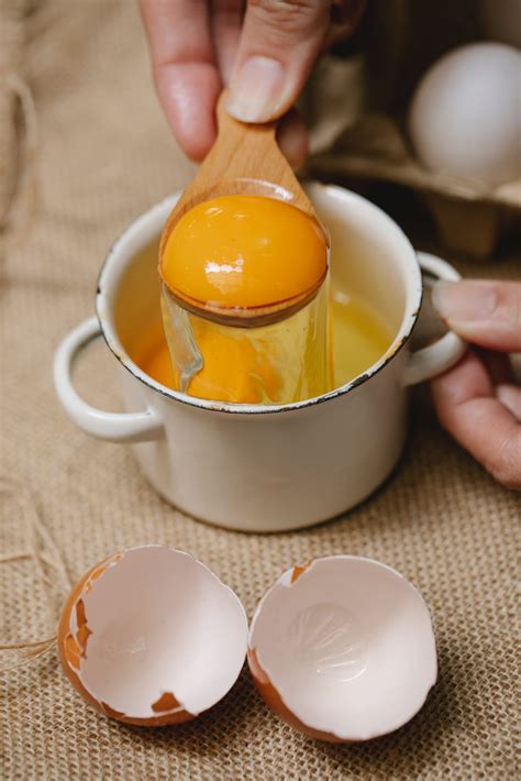 Unseen Benefits of Eggshell Membrane | Fitness Special - All You Need ...