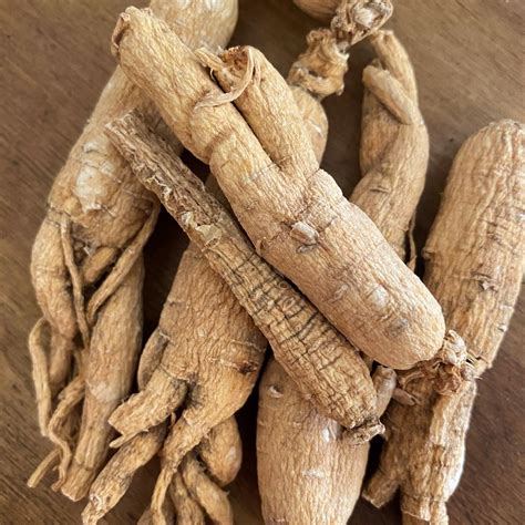 Ginseng - Red - Sons of Asgard