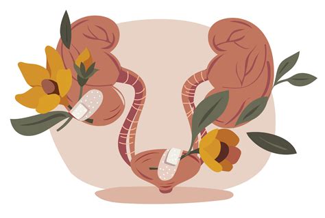 Инфекция мочевыводящих путей - WomanLog