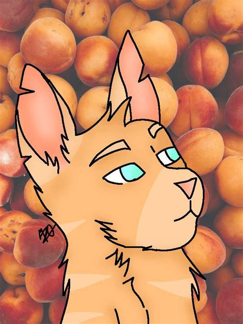 Персик | Wiki | ~Домашние Киски~ Amino