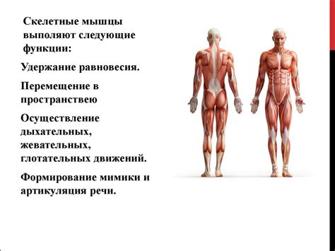 Миология - презентация онлайн