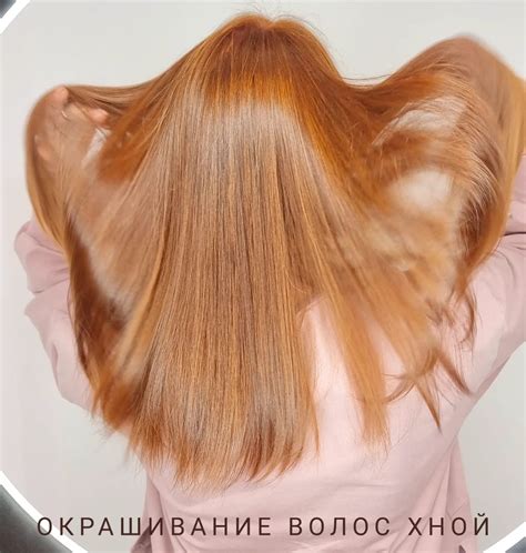 Биоламинирование хной в Москве - Henna Workroom
