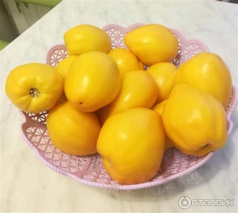 Томат «Желтая империя» — описание, фото и характеристики сорта