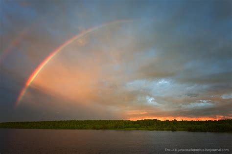 Rainbow | Пикабу