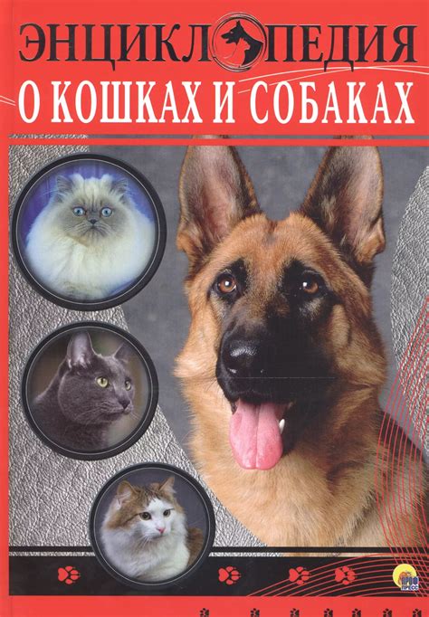Энциклопедия о кошках и собаках — продать на Auction.ru по выгодной ...