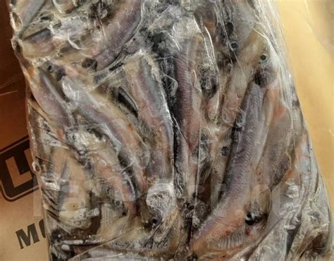 Мойва (семейства корюшковых) - Рыба и морепродукты в Хабаровске