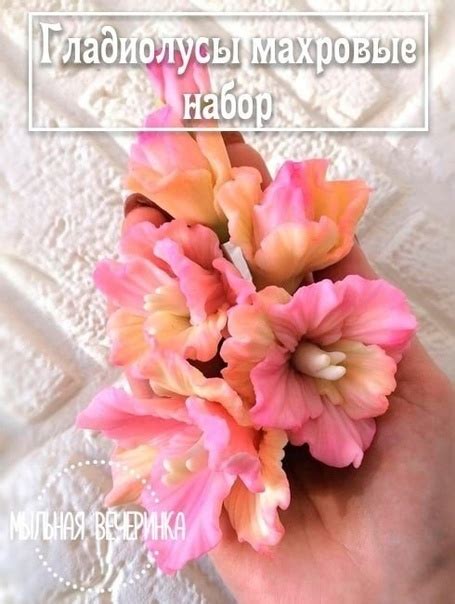 Набор из пяти форм "Гладиолусы махровые", набор "Ромашки Альпийские ...