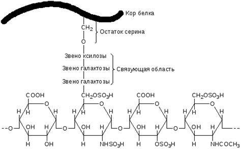 Гепарин Распространение в природе