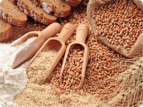 Услуги по сушке, очистке, затарке зерна и семян — AgroInvest