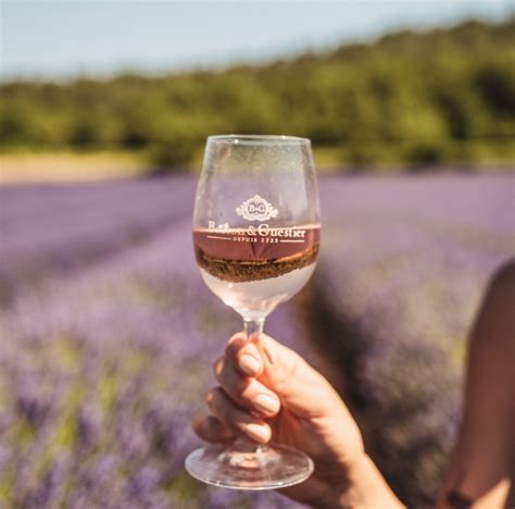 Barton & Guestier: The Evolution of Tradition and Winemaking at ...