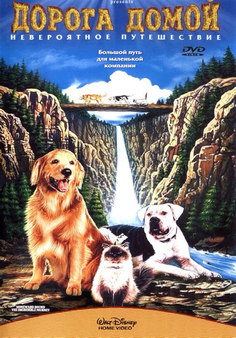 Постер фильма "Дорога домой: Невероятное путешествие" (Homeward Bound ...