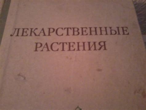 из чего сделана книга? - Школьные Знания.com