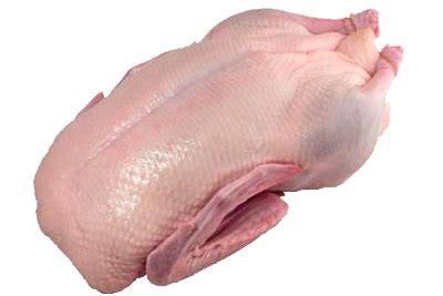 ÖRDEK BÜTÜN - PM - Ekol Food