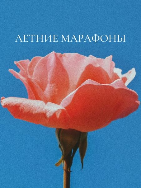 Летние марафоны (дождались, что называется!) Итак, этим летом я по ...