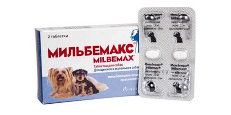 "Мильбемакс": аналог, инструкция по применению, отзывы