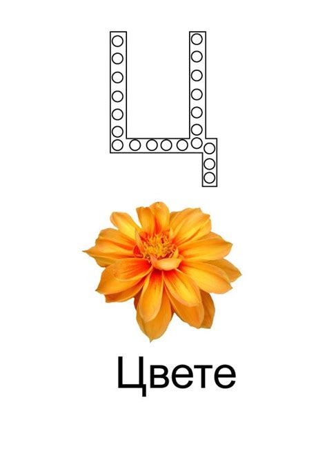 Карта буква "Ц"
