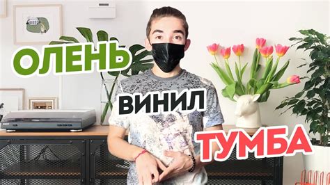Тумба ФЬЕЛЛЬБО. Декорируем гостиную. IKEA Казахстан. Оленья Голова и ...