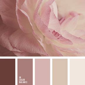 beige, beige con tono café, beige polvoriento, color rosa ranunculus ...