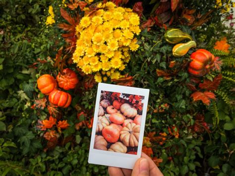 Обзор камер Fujifilm instax mini 70 и instax mini 8