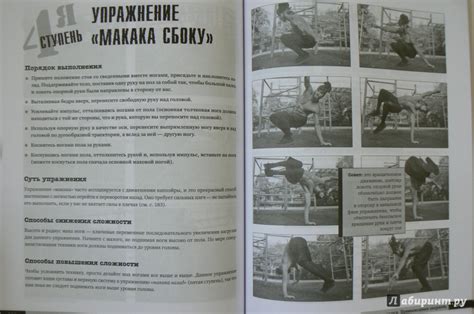 Книга: Тренировочная зона 3. Взрывная калистеника - Пол Уэйд. Купить ...