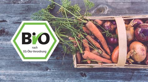 Welche Lebensmittel sollten Bio sein? Belastete Frucht- & Gemüsesorten