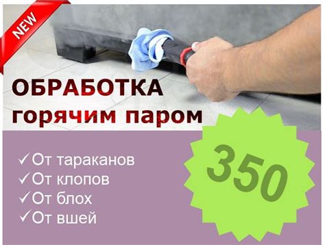 Обработка горячим паром от клопов
