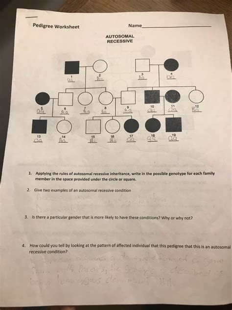 Solved Pedigree Worksheet Name AUTOSOMAL RECESSIVE Ad Cic. | Chegg.com ...