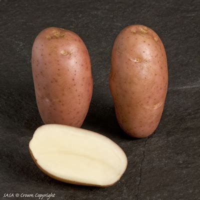Varieties