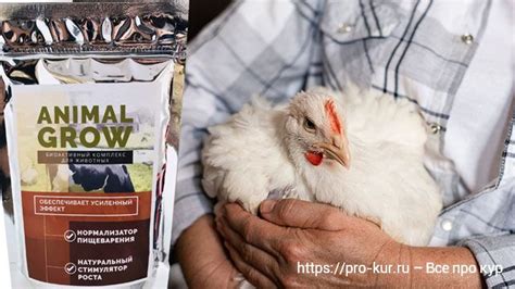 Стимулятор роста Animal Grow для кур несушек, цыплят и бройлеров