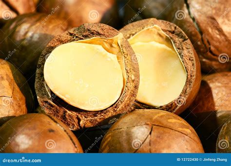 Macadamia stock photo. Image of nutlet, snack, macadamias - 12722430