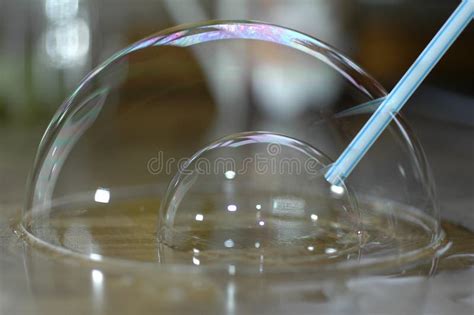 Double bubble stock photo. Image of active, bubble, double - 566848