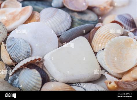 Shell rock hi-res stock photography and images - Alamy