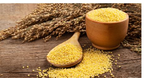 Millet - An Ancient Grain That is a Nutritious and Delicious Superfood