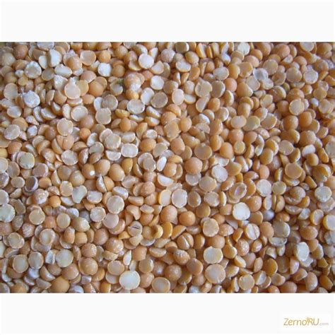 Продам гороховая крупа, купить гороховая крупа, Санкт-Петербург ...
