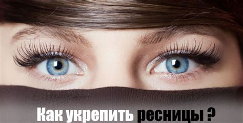 Укрепление ресниц в домашних условиях: рецепты, народные средства для ...