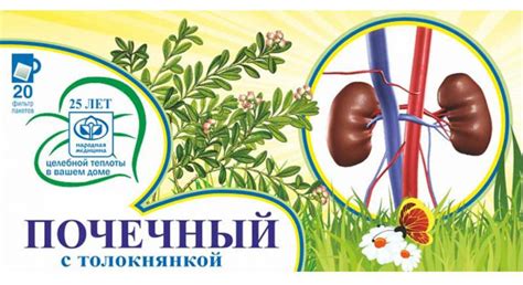 Травы при пиелонефрите: лечебные свойства, правила заваривания ...
