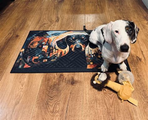 Multy Home Europe on LinkedIn: #multyhomeeurope #petfriendly # ...