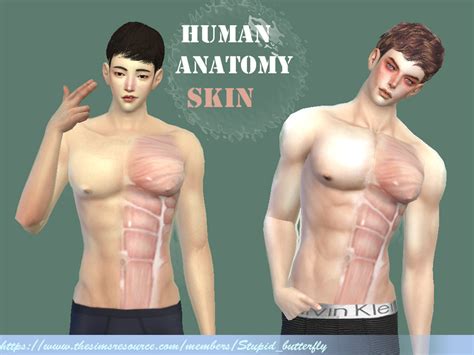 Anatomy mod