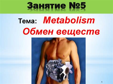 Metabolism. Обмен веществ - презентация онлайн