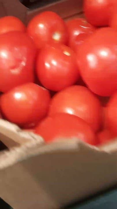 кому нужны тухлые помидоры!? магнит - стеритамакский р-н д. байрак ...
