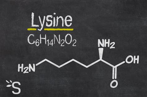 Lysine - Plantes et Actifs Naturels | Santéonaturel.com