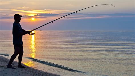 The best beach baits to use | OverSixty