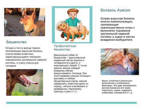 Профилактика инфекционных болезней плотоядных животных - online ...