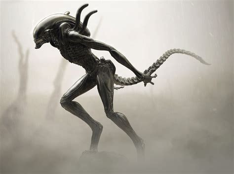 Xenomorph (Alien, Ксеноморф, Чужой) :: AVP (Вселенная Чужих и Хищников ...